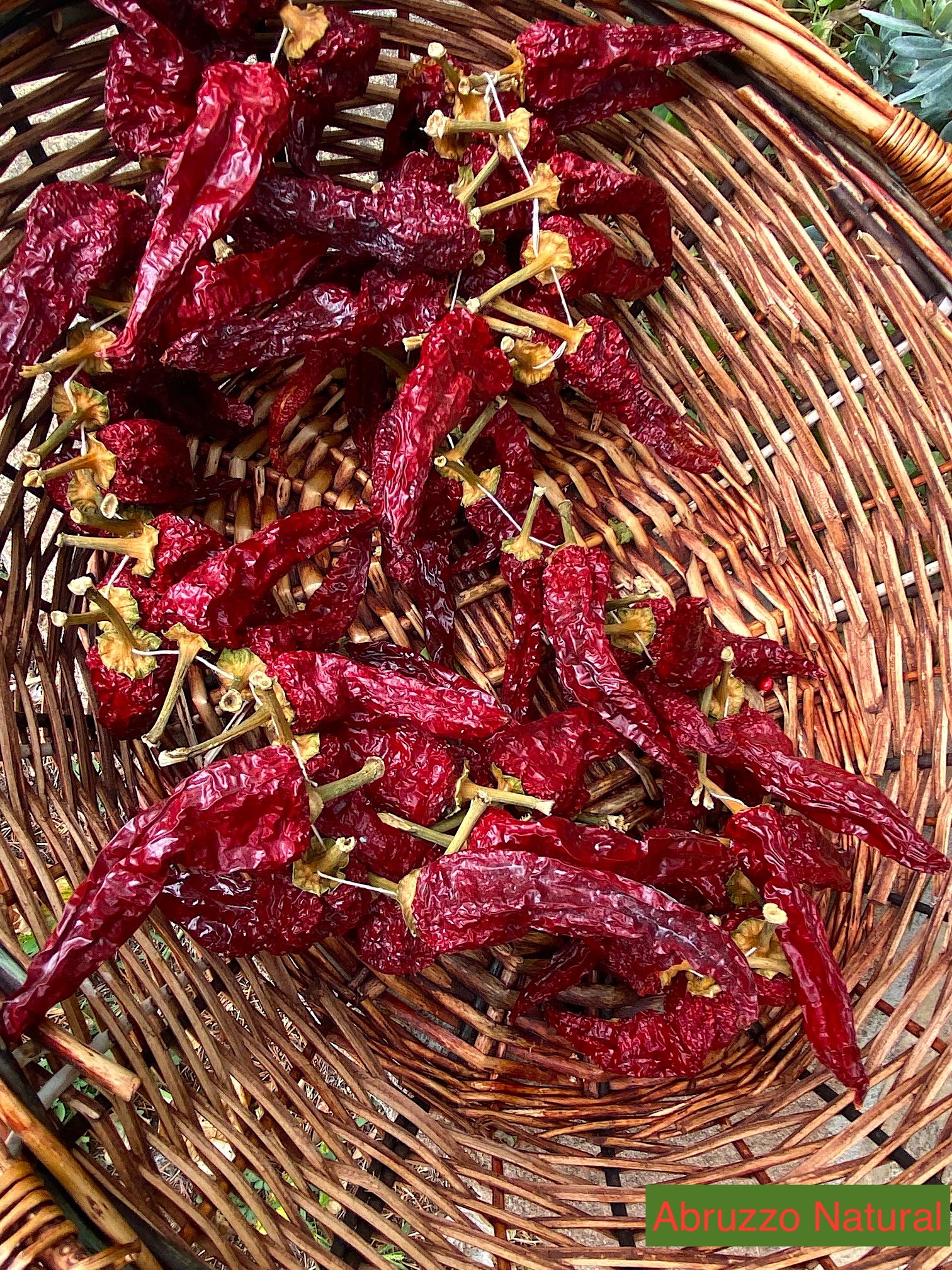 Peperone Dolce di Altino