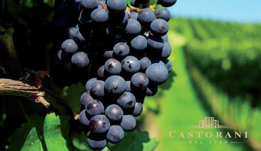 Podere Castorani